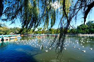 Parque del Lago Verde de Kunming, China